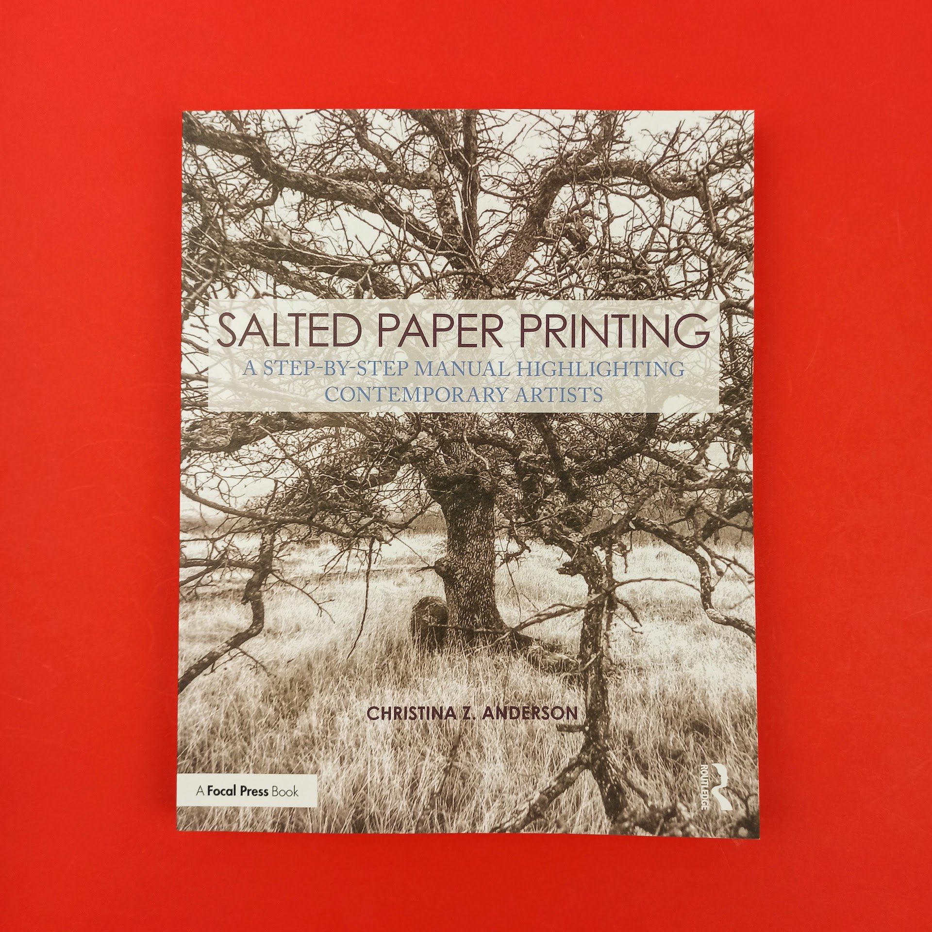 Salted paper printing - VolumeBK