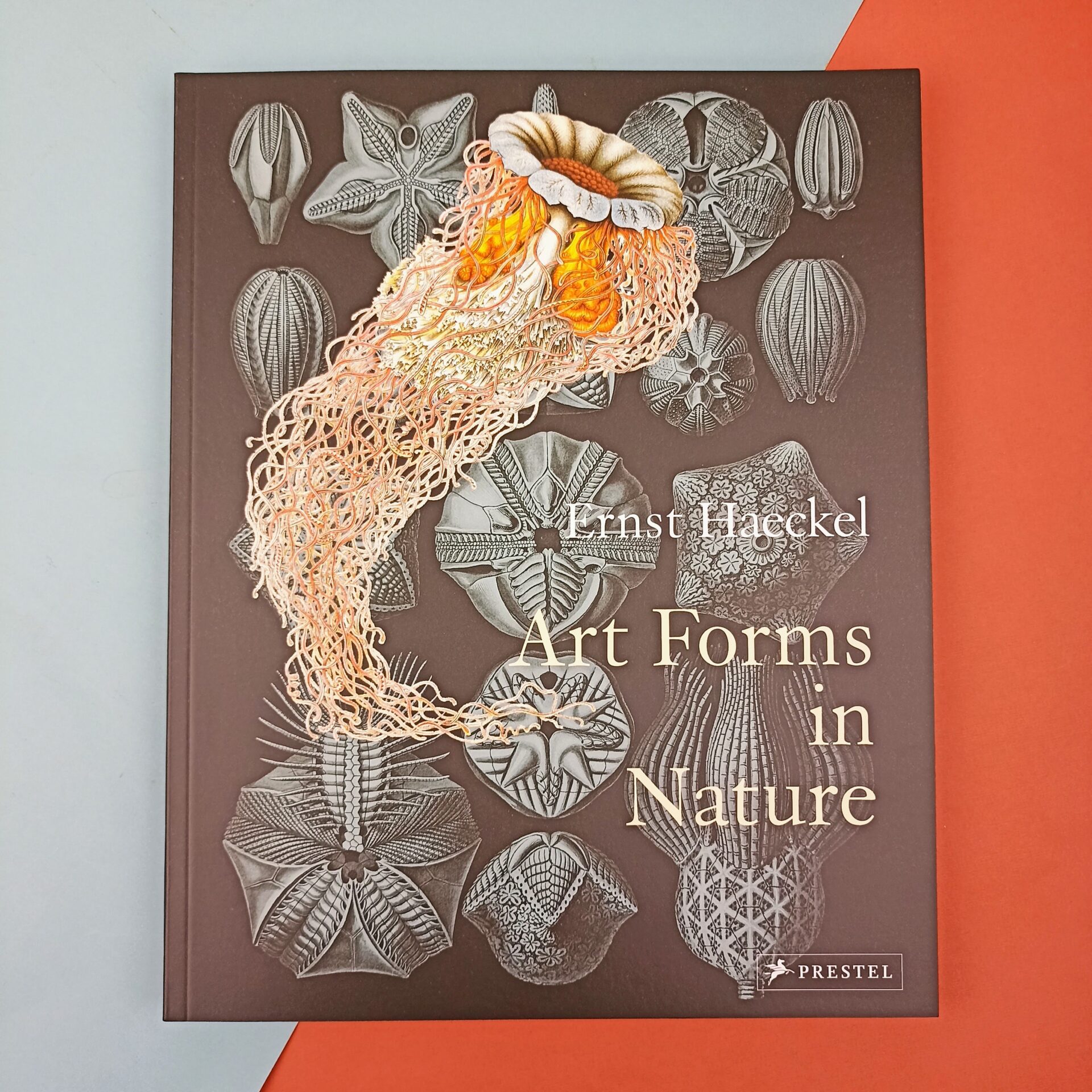 Art forms in nature - VolumeBK